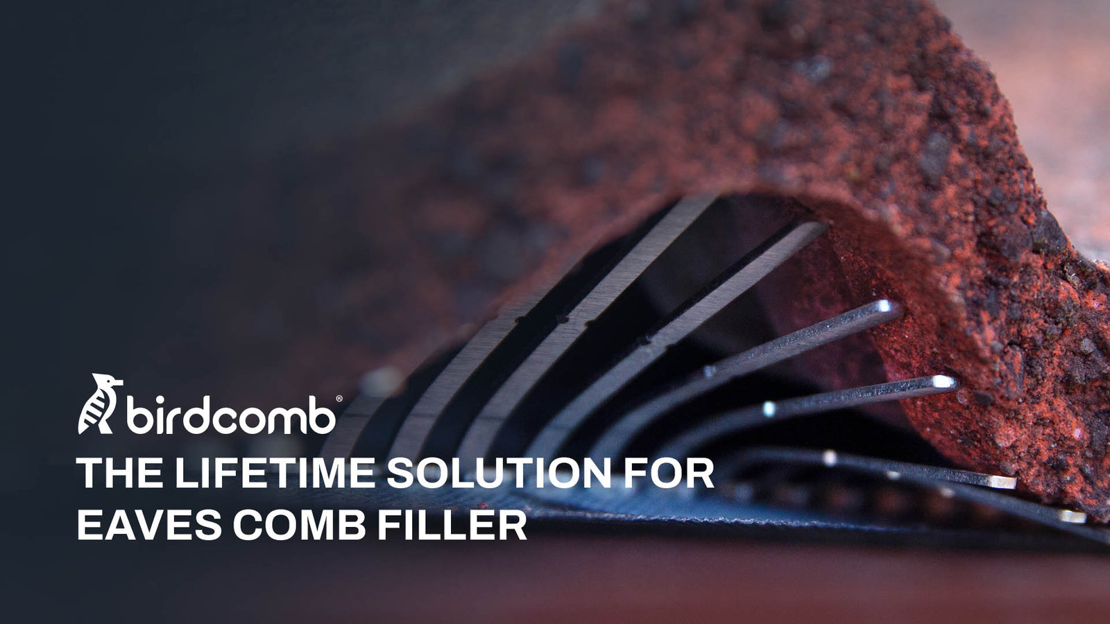 Birdcomb | Galvanised Steel Eaves Comb Filler | Roofing & Pest Control