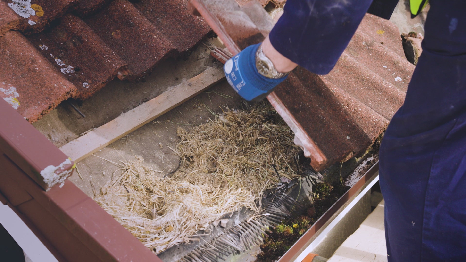 Birdcomb | Galvanised Steel Eaves Comb Filler | Roofing & Pest Control